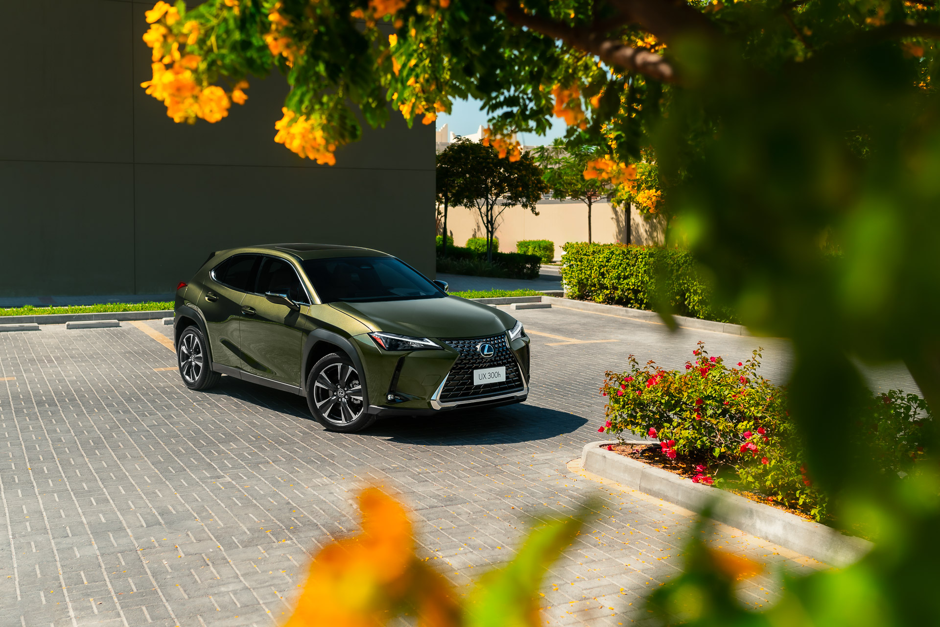 Lexus UX 300h F Sport - Hybrid SUV with Dynamic Style and Performance ...