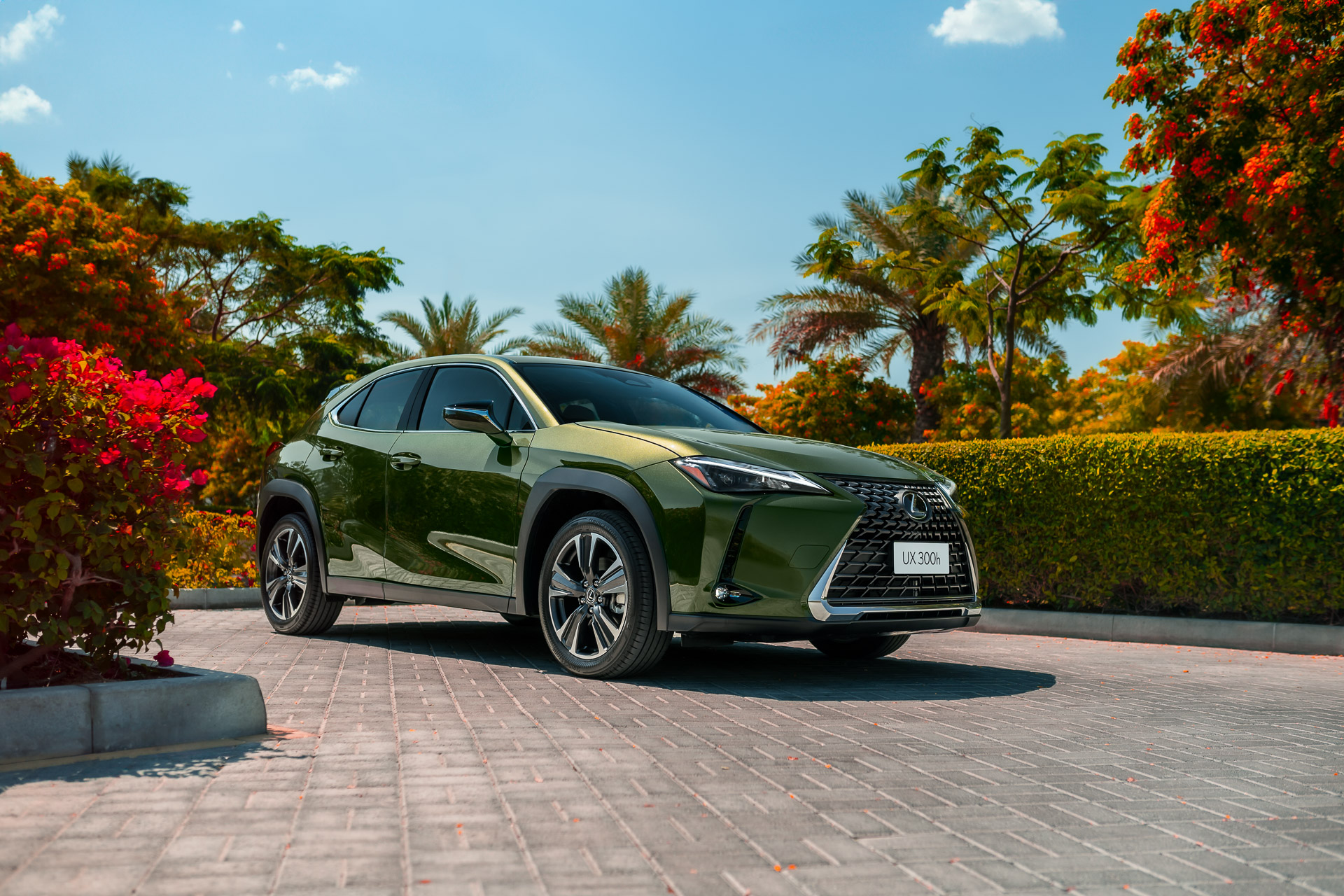 Lexus UX - Compact Luxury Crossover with Urban Agility | Lexus Bahrain